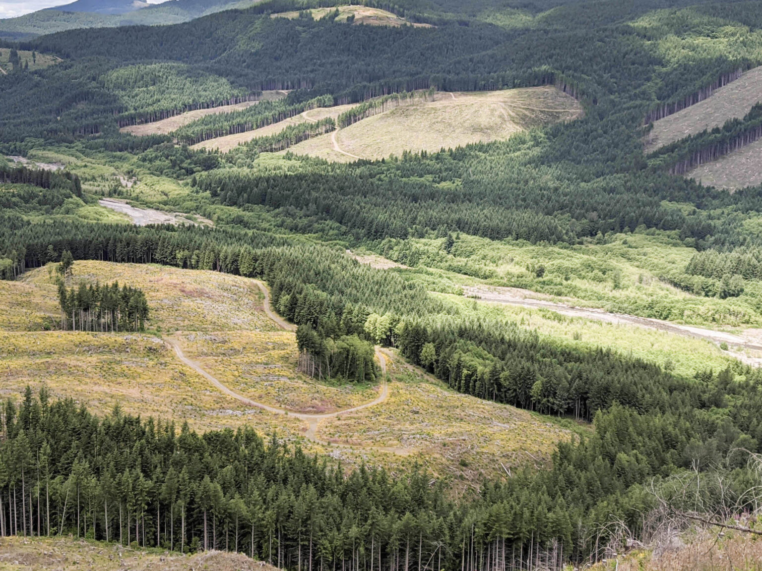 THE IMPACTS OF FOREST ROADS & THE IMPORTANCE OF PROTECTING ROADLESS ...