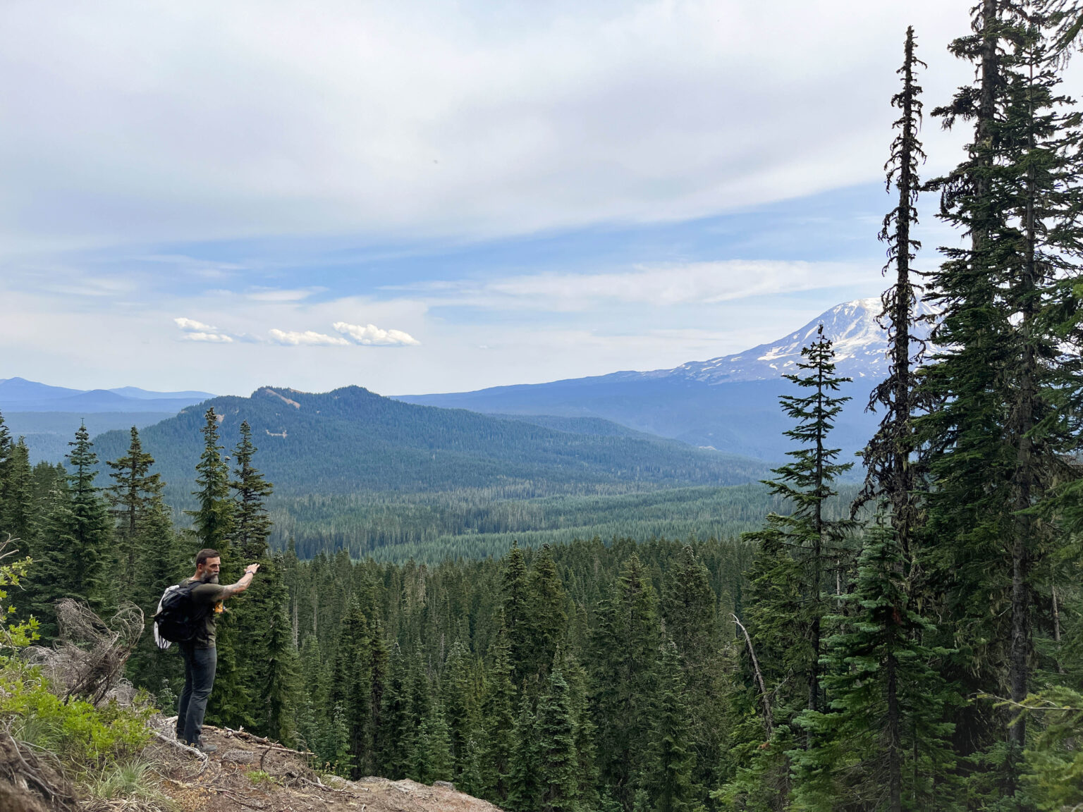 THE IMPACTS OF FOREST ROADS & THE IMPORTANCE OF PROTECTING ROADLESS ...